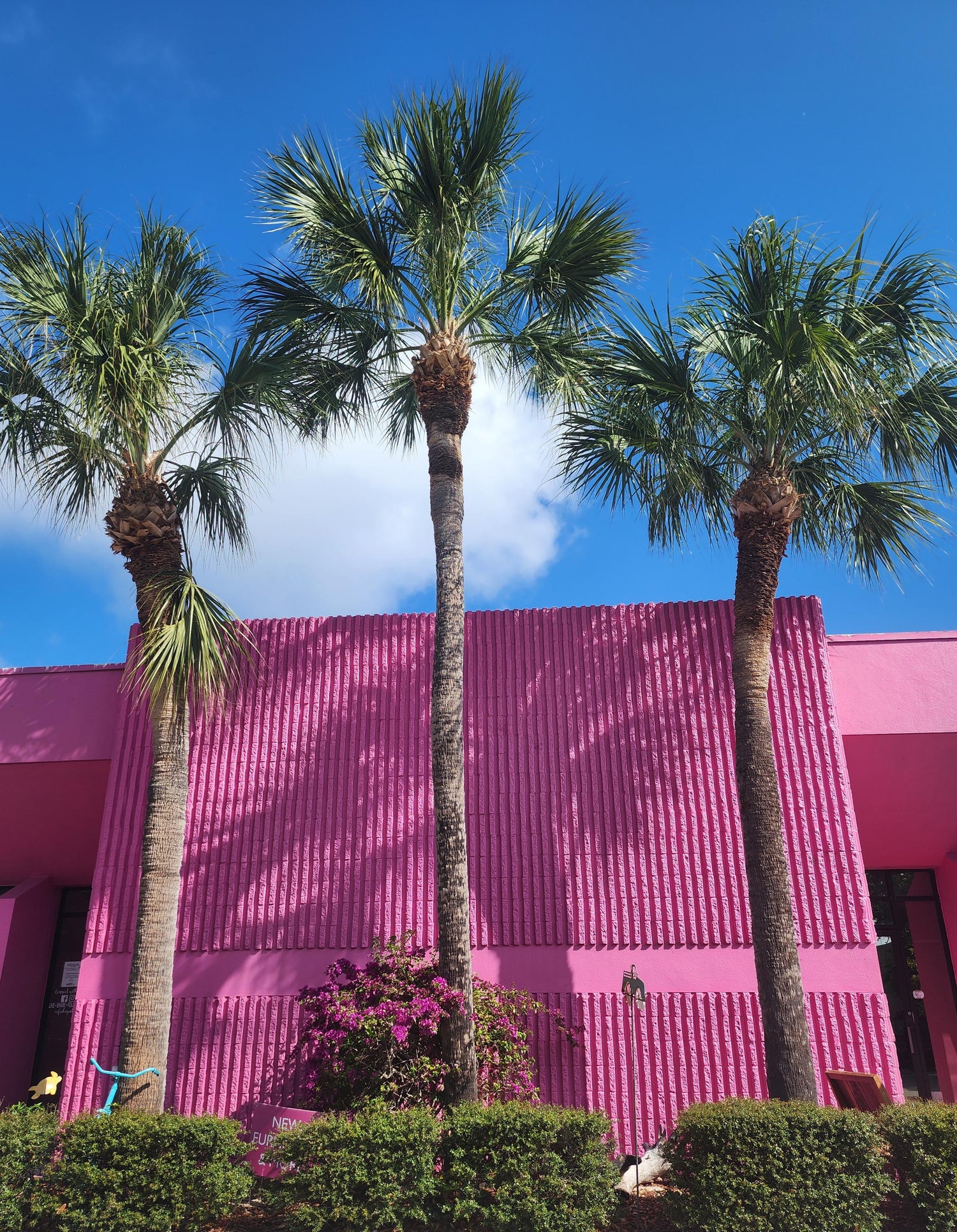 Funkie Junkies Consignment and Marketplace – Funkie Junkies Marketplace